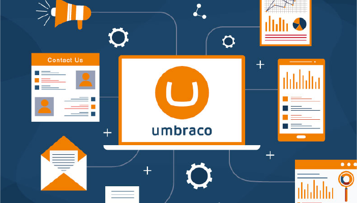 Elevate Content Management - Umbraco | Bizionic Tech